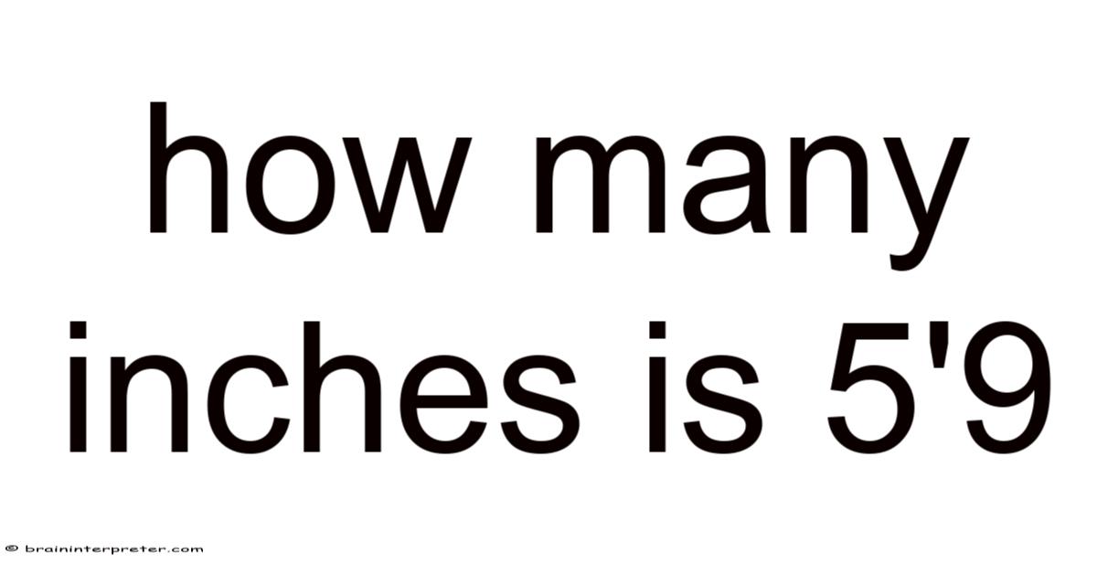 How Many Inches Is 5'9