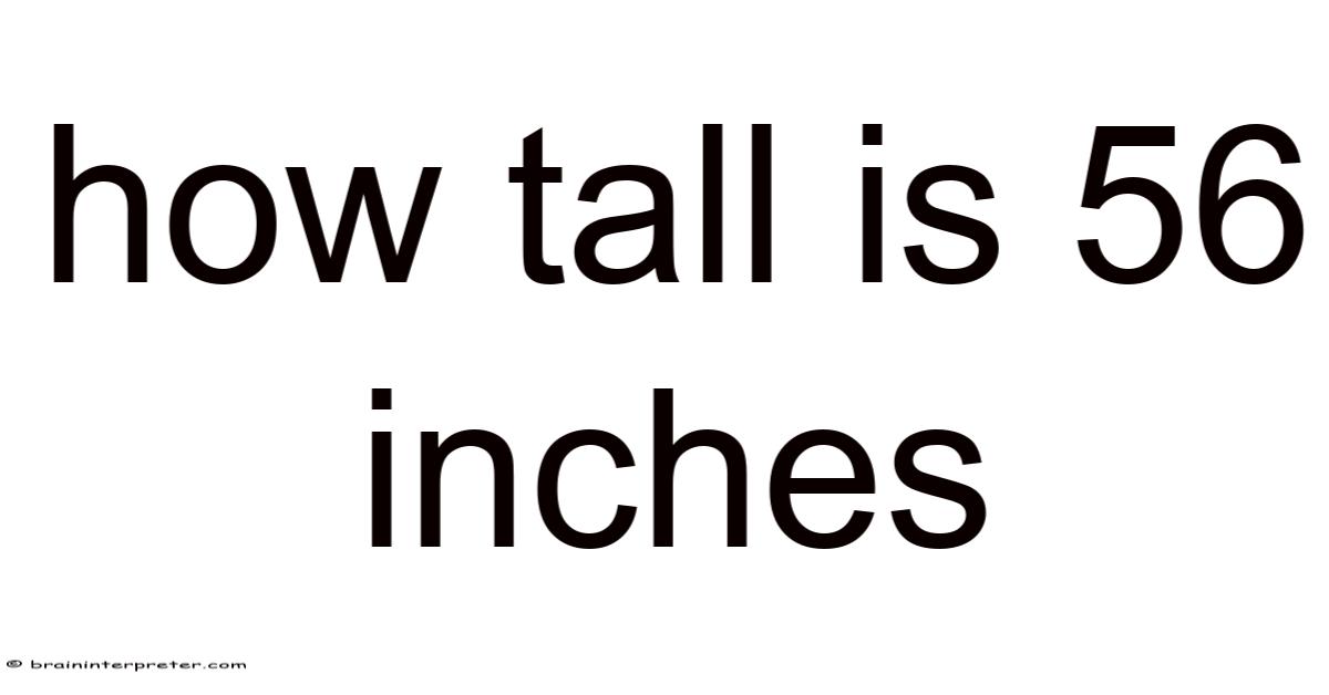 How Tall Is 56 Inches